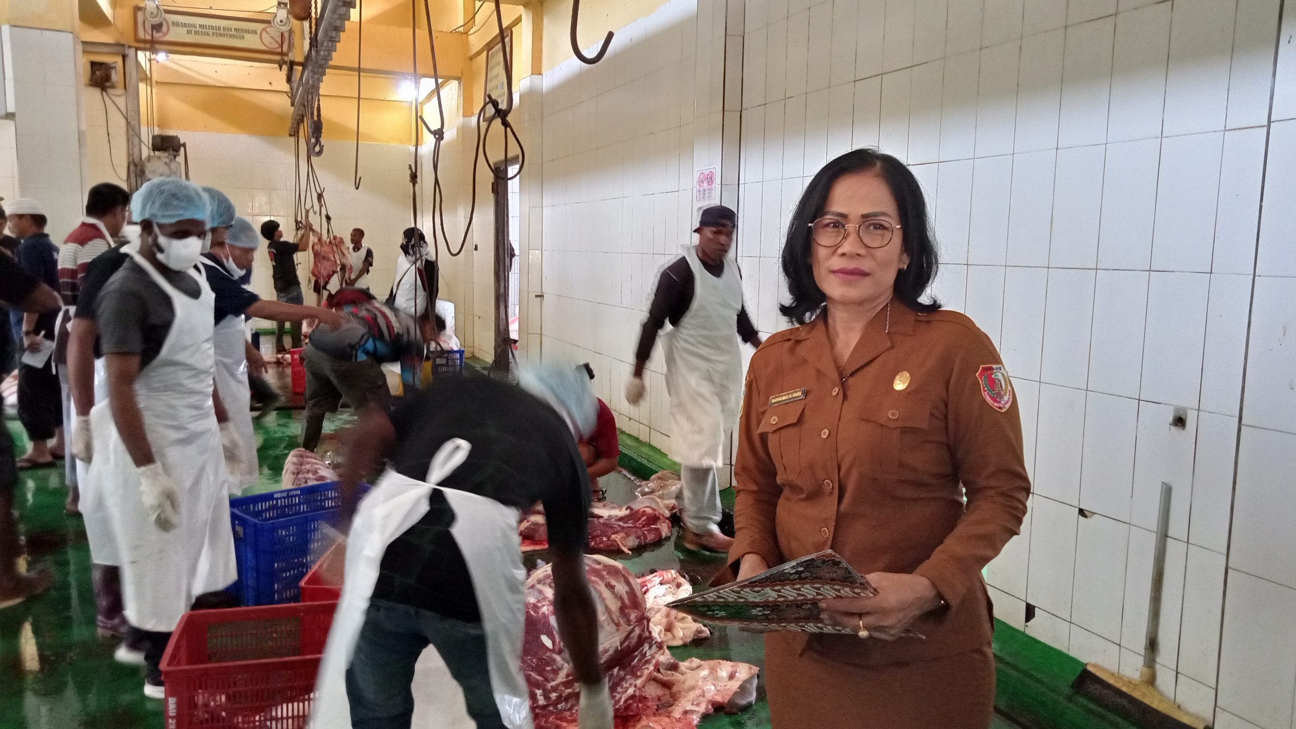 RPH Merauke Pastikan Daging Kurban Aman, Sehat, Utuh dan Halal. - www ...